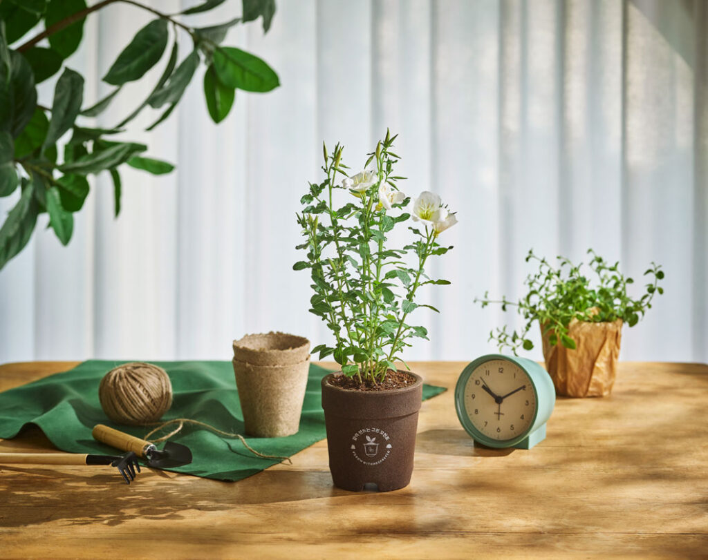 네스프레소 Green Moment #2 - 차리다 스튜디오 : Charida Studio