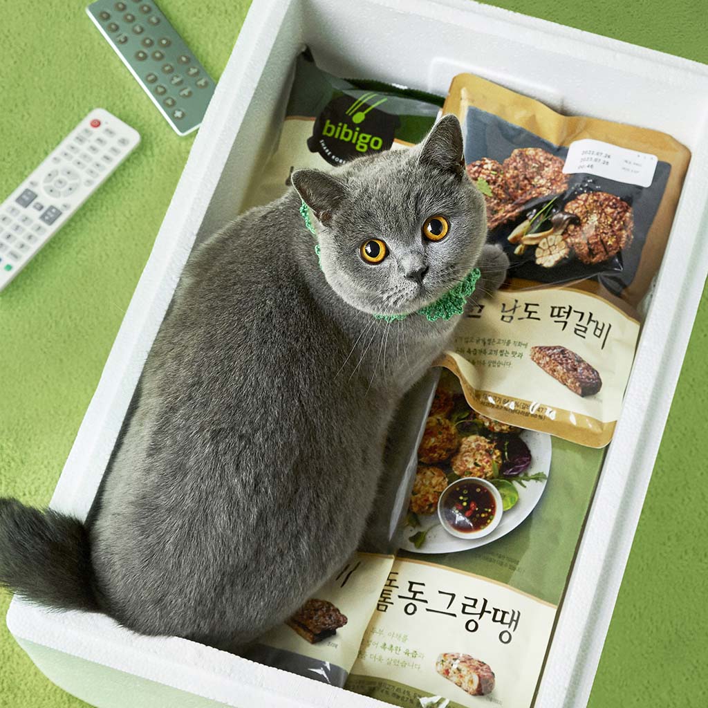 비비고 SNS #5 - 차리다 스튜디오 : Charida Studio