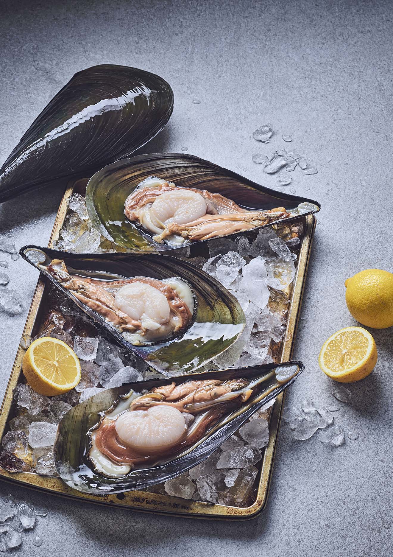 신세계 계절과식탁 #7 - 조개와 관자 - 차리다 스튜디오 : Charida Studio